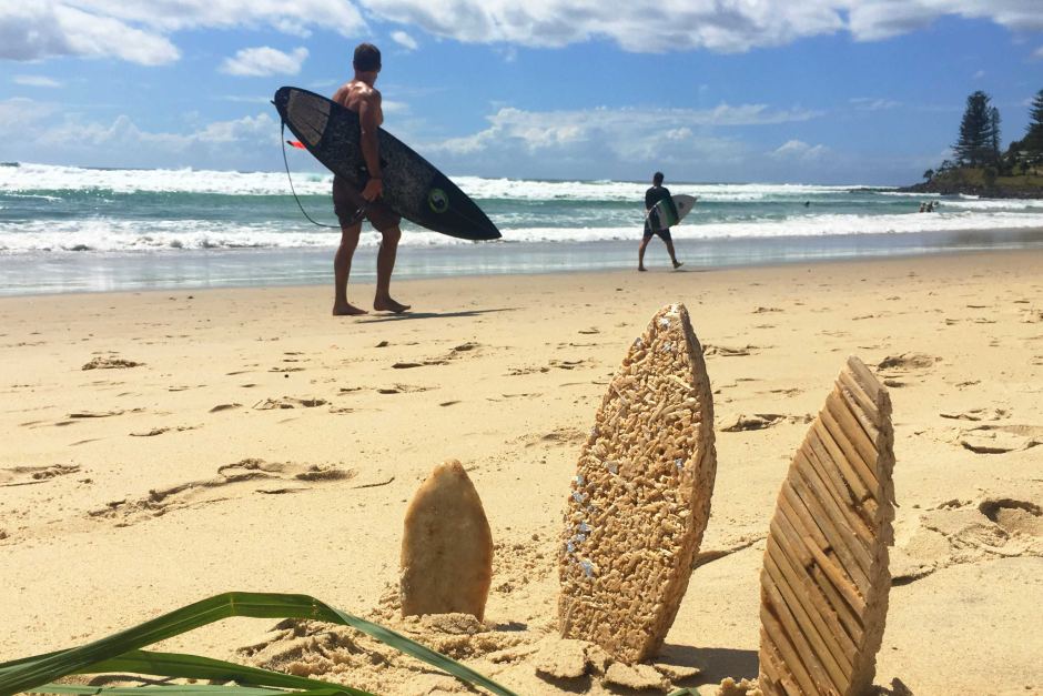 How to Grow Your Own Surfboard