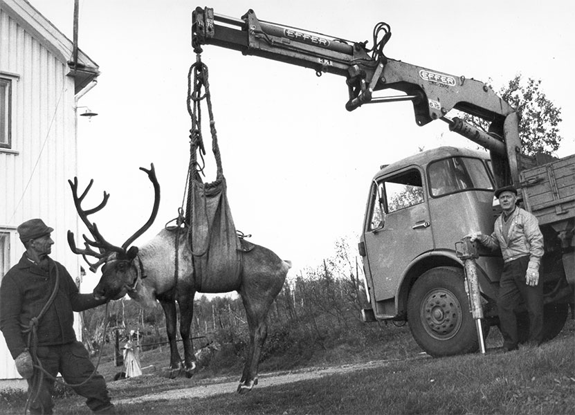 How to Save Time and Boost Payload with the Right Truck Mounted Crane